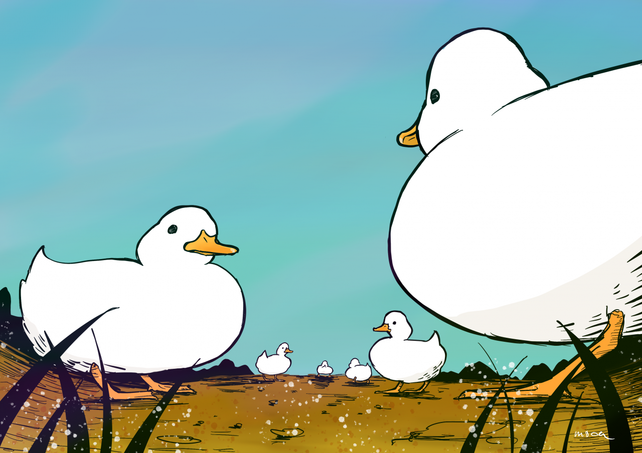 香港插畫及文創展 7 - Mochi Mochi Ducks